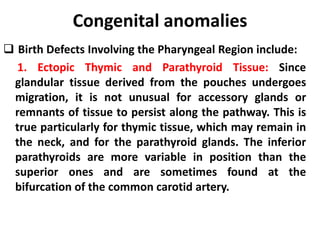 Embryology of head&neck es - copy | PPTX