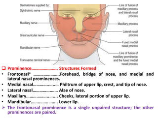 Embryology of head&neck es - copy | PPTX
