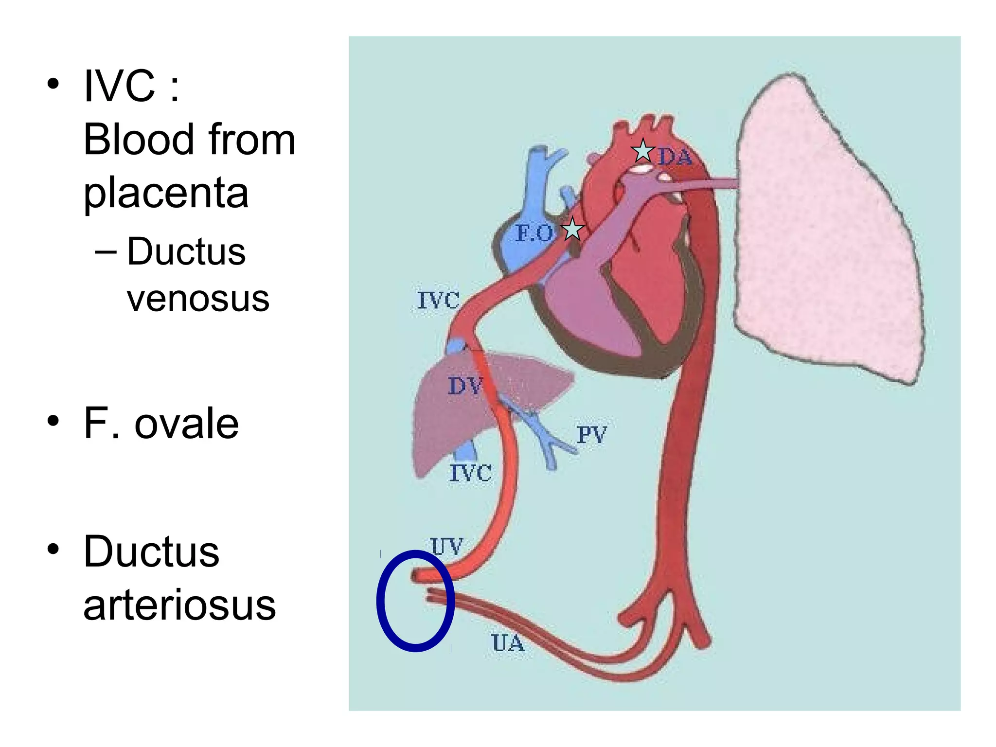 Embryology of heart | PPT