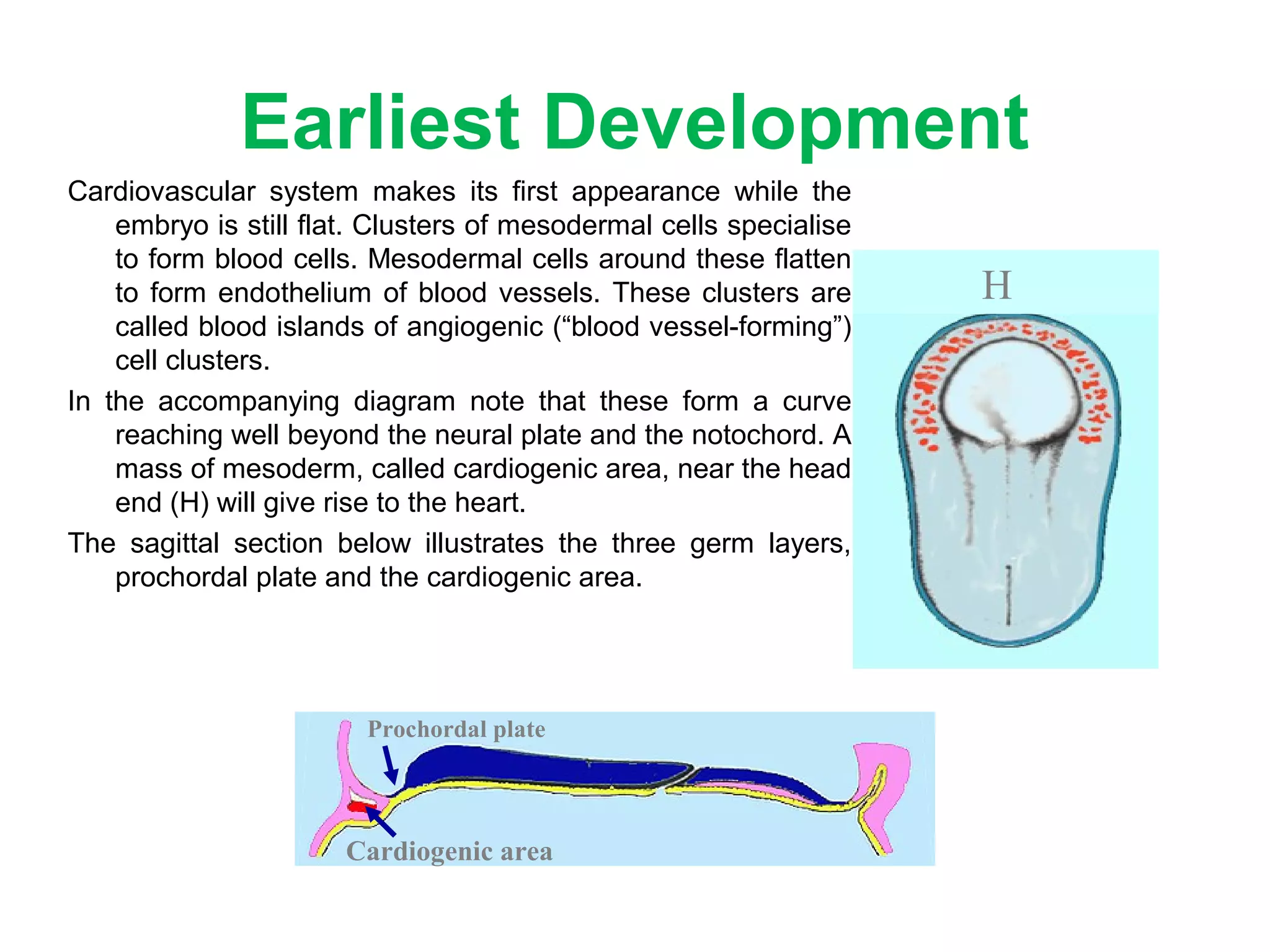 Embryology of heart | PPT