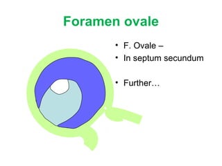 Embryology of heart | PPT