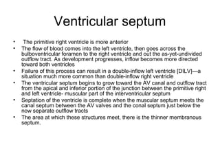 Embryology of heart | PPT