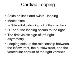 Embryology of heart | PPT