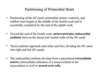 Embryology of heart | PPTX