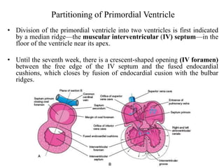 Embryology of heart | PPTX