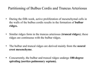 Embryology of heart | PPTX