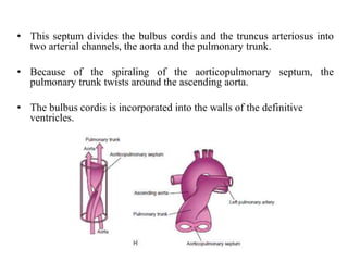 Embryology of heart | PPTX
