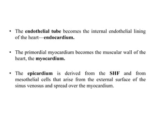 Embryology of heart | PPTX