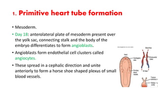 Embryology of heart and lung | PPTX