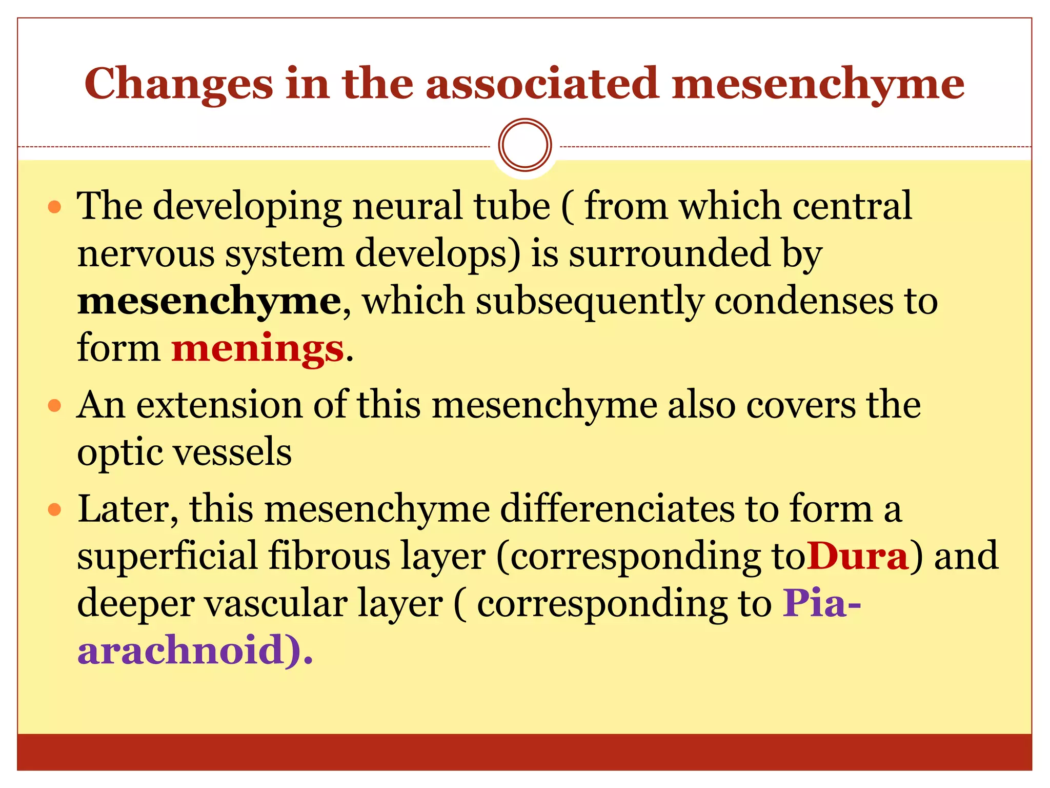 Embryology of human eye | PPTX