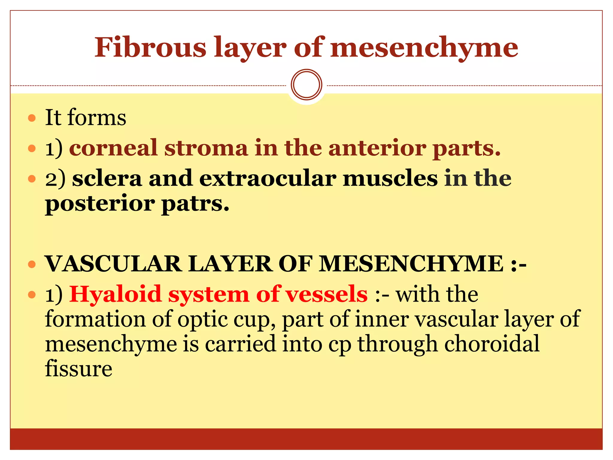 Embryology of human eye | PPTX