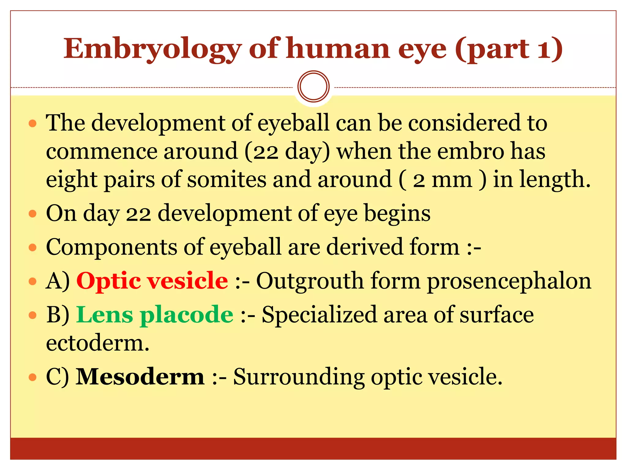 Embryology of human eye | PPTX