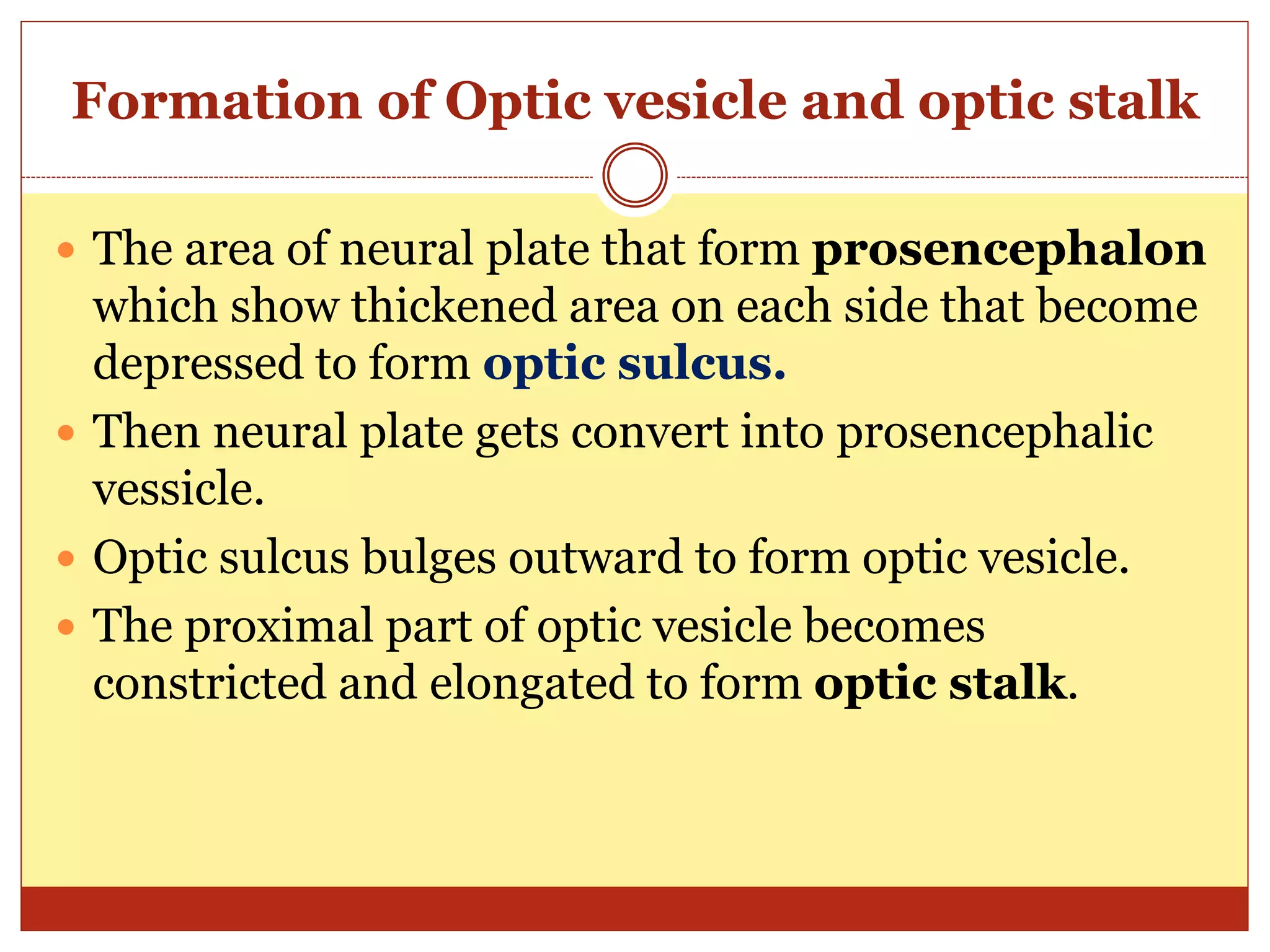 Embryology of human eye | PPTX