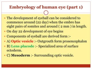 Embryology of human eye | PPT