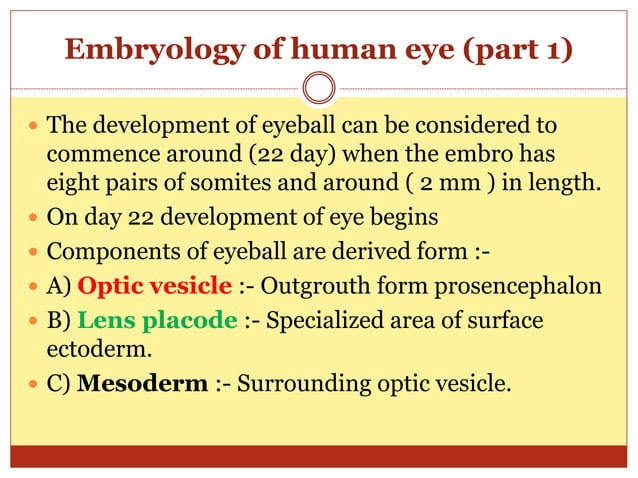 Embryology of human eye