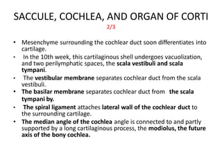 embryology of inner ear.pptx
