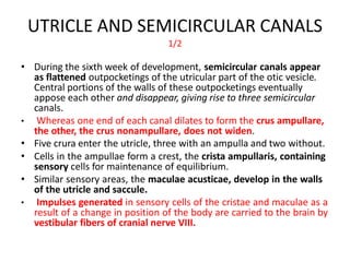 embryology of inner ear.pptx