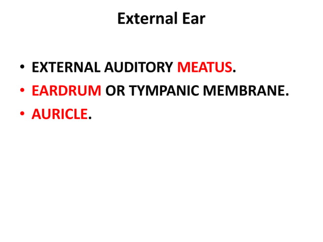 embryology of inner ear.pptx