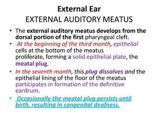 embryology of inner ear.pptx