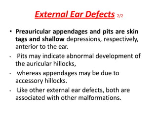 embryology of inner ear.pptx
