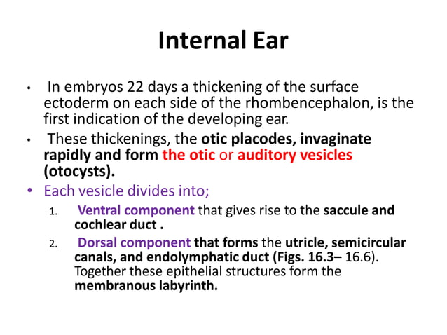 embryology of inner ear.pptx