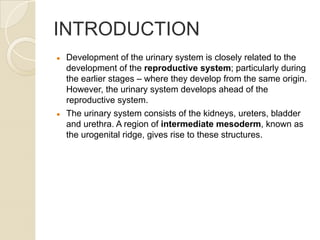EMBRYOLOGY OF KIDNEY AND URETER.pdf