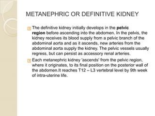 EMBRYOLOGY OF KIDNEY AND URETER.pdf
