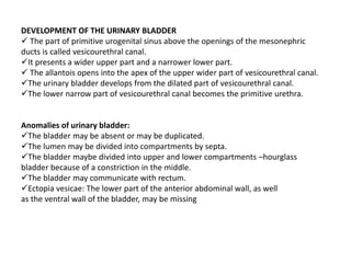EMBRYOLOGY OF KUB AND ITS CINICAL SIGNIFICANY(1).pptx