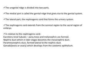 EMBRYOLOGY OF KUB AND ITS CINICAL SIGNIFICANY(1).pptx
