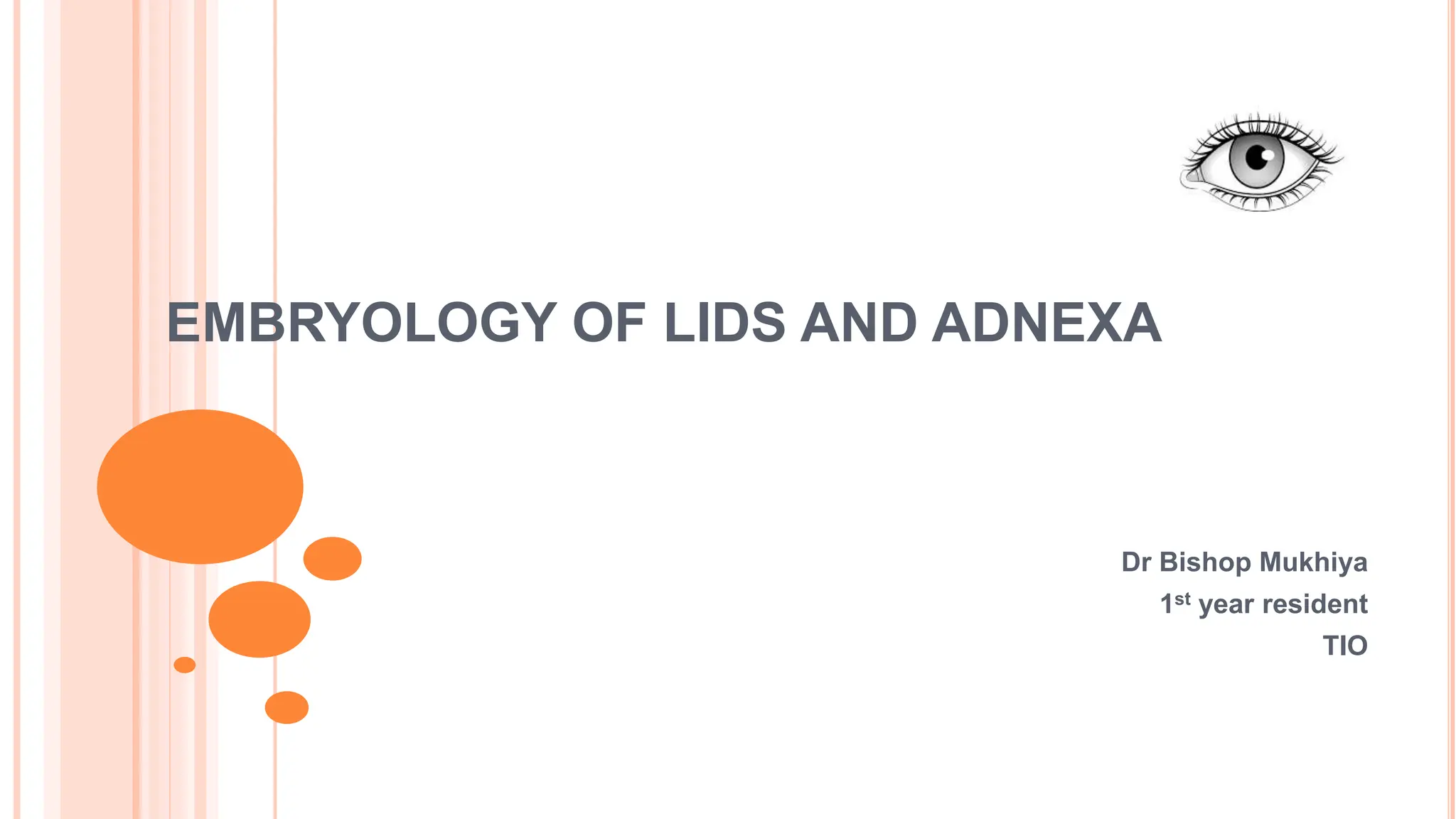 embryology of lids and adnexa.pptx embryology | PPTX