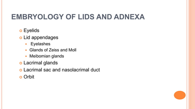 embryology of lids and adnexa.pptx embryology | PPTX | Eye and Vision Conditions | Diseases and ...