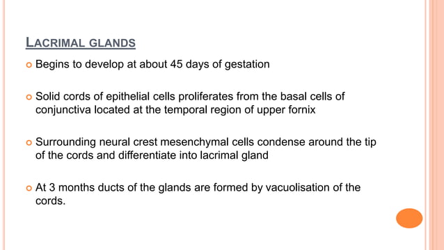 embryology of lids and adnexa.pptx embryology | PPTX | Eye and Vision Conditions | Diseases and ...