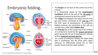 embryologyofliver-170215140438.pptx