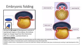 embryologyofliver-170215140438.pptx