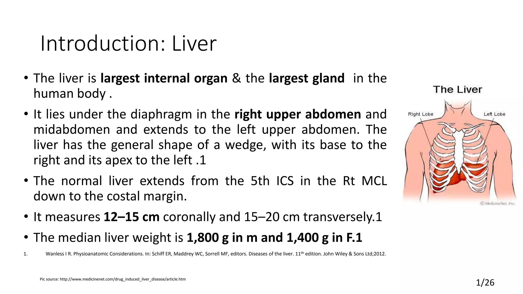 Embryology of liver | PPTX