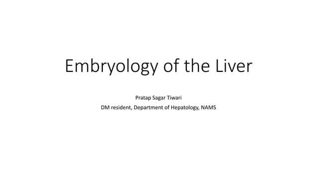 Embryology of liver | PPTX