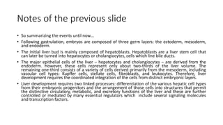 Embryology of liver | PPTX