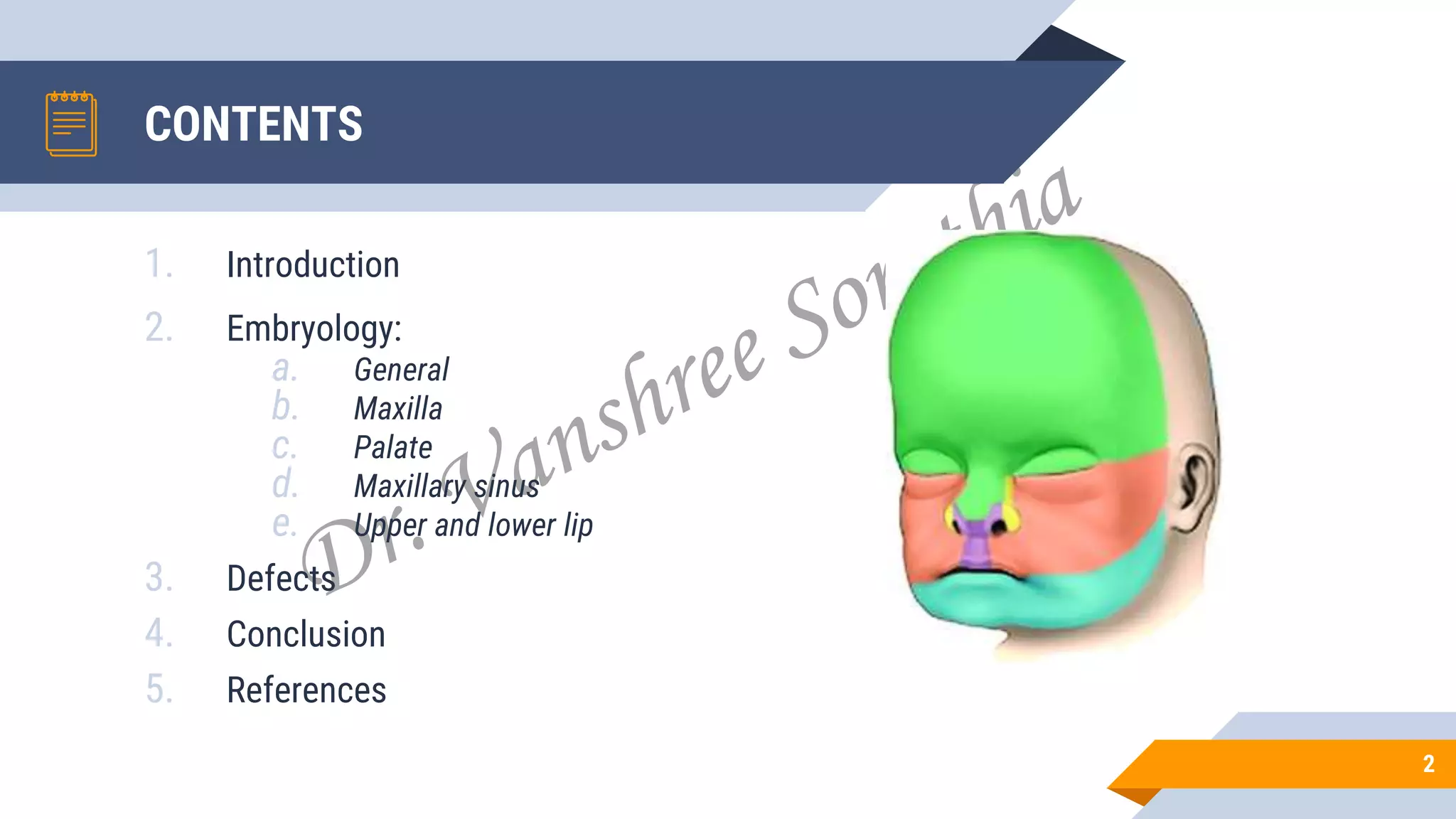 Embryology of Maxilla, Palate, Maxillary sinus & Lips and their Defects ...