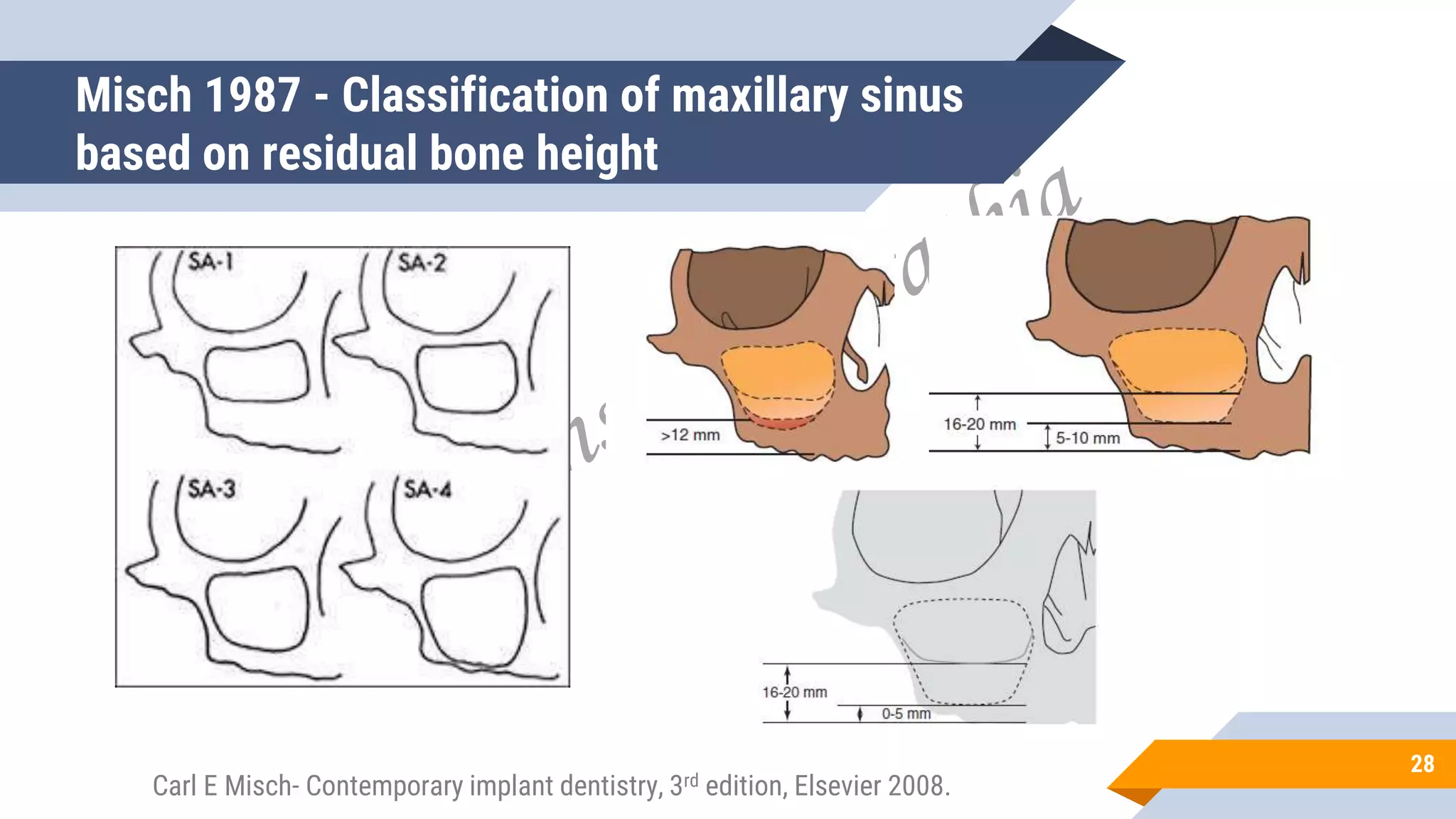Embryology of Maxilla, Palate, Maxillary sinus & Lips and their Defects ...