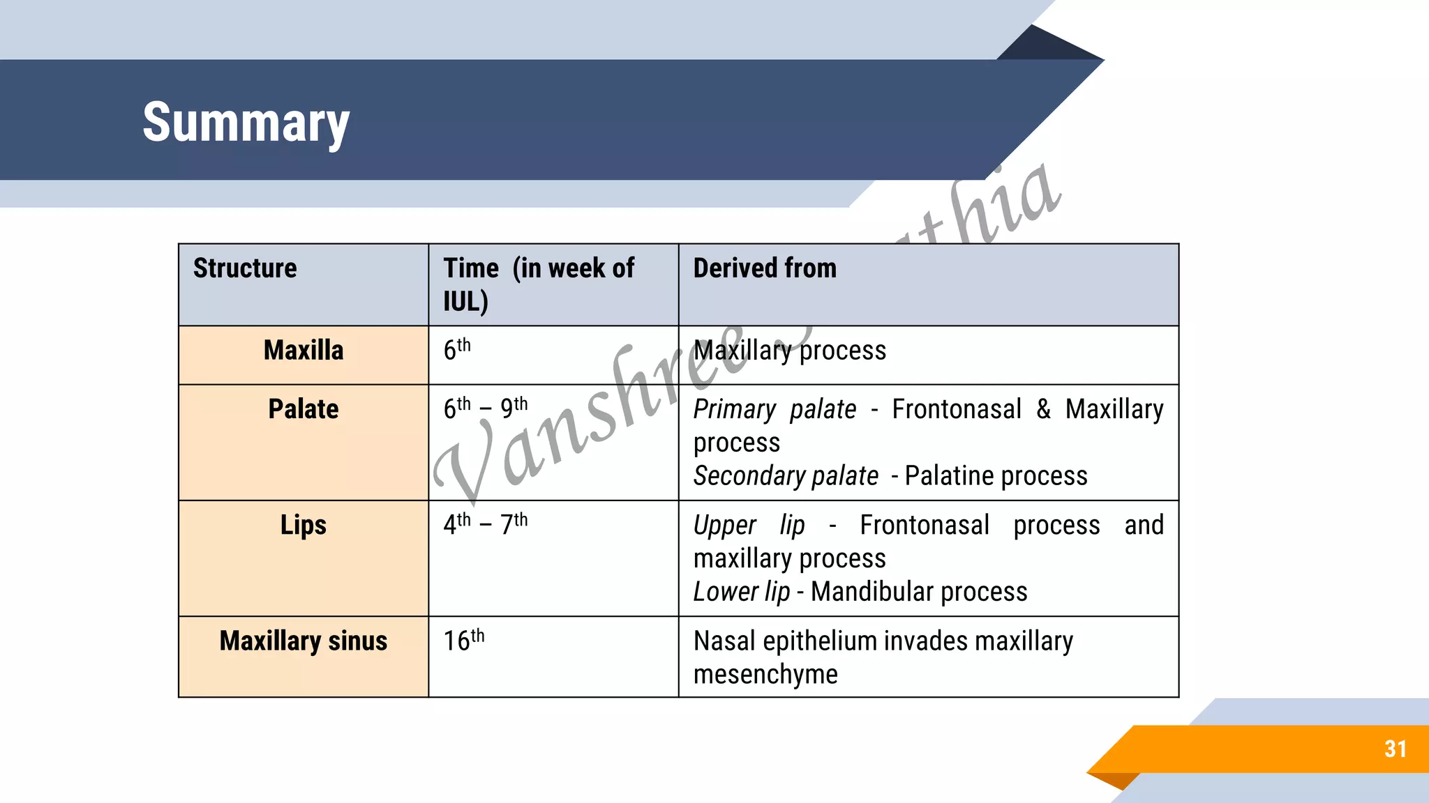Embryology of Maxilla, Palate, Maxillary sinus & Lips and their Defects ...