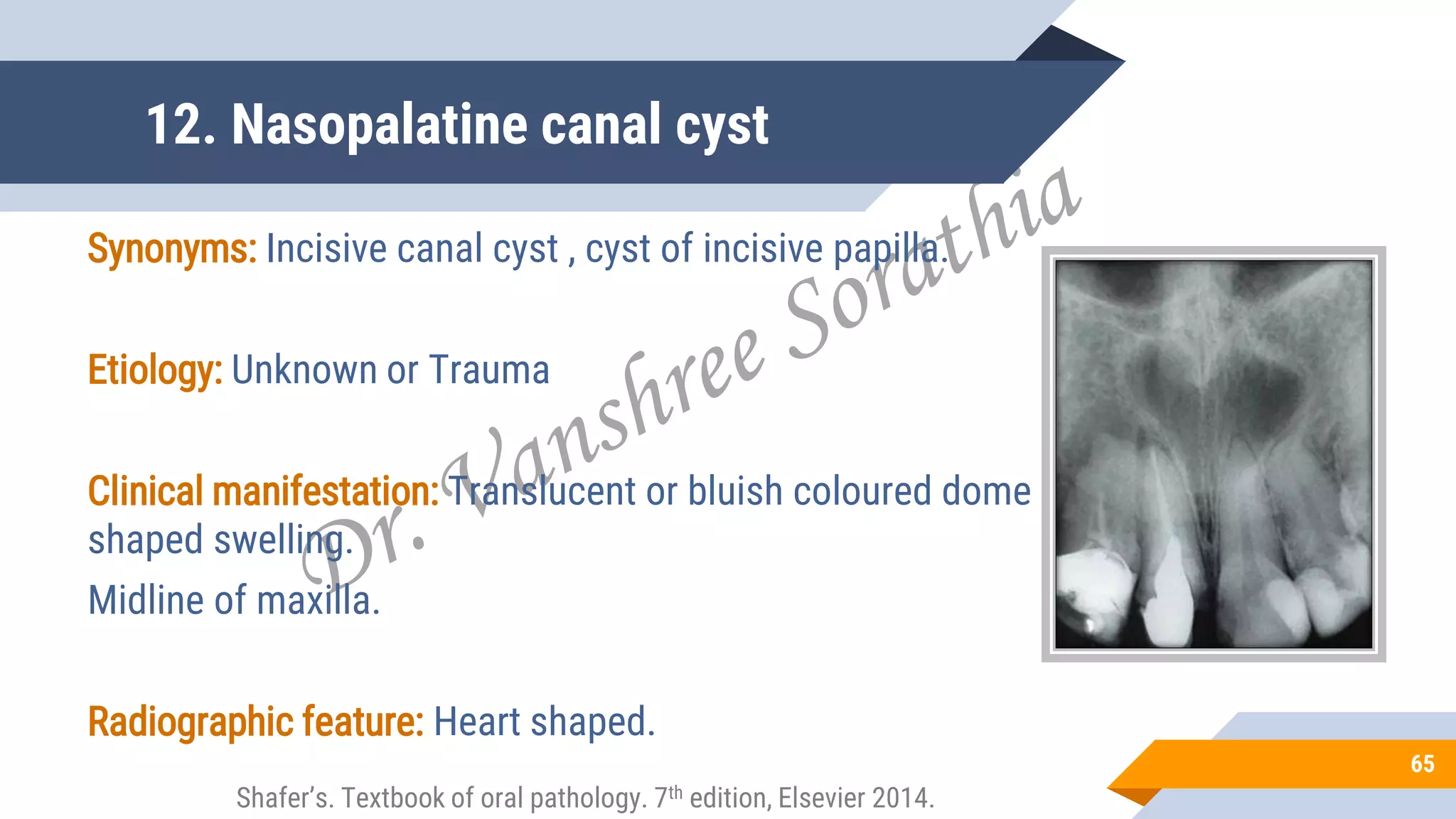 Embryology of Maxilla, Palate, Maxillary sinus & Lips and their Defects ...