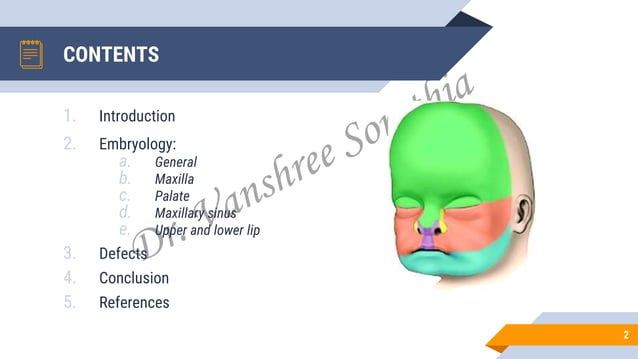 Embryology of Maxilla, Palate, Maxillary sinus & Lips and their Defects ...
