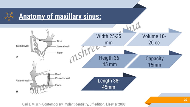 Embryology of Maxilla, Palate, Maxillary sinus & Lips and their Defects | PPTX | Ear, Nose and ...