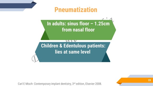 Embryology of Maxilla, Palate, Maxillary sinus & Lips and their Defects ...