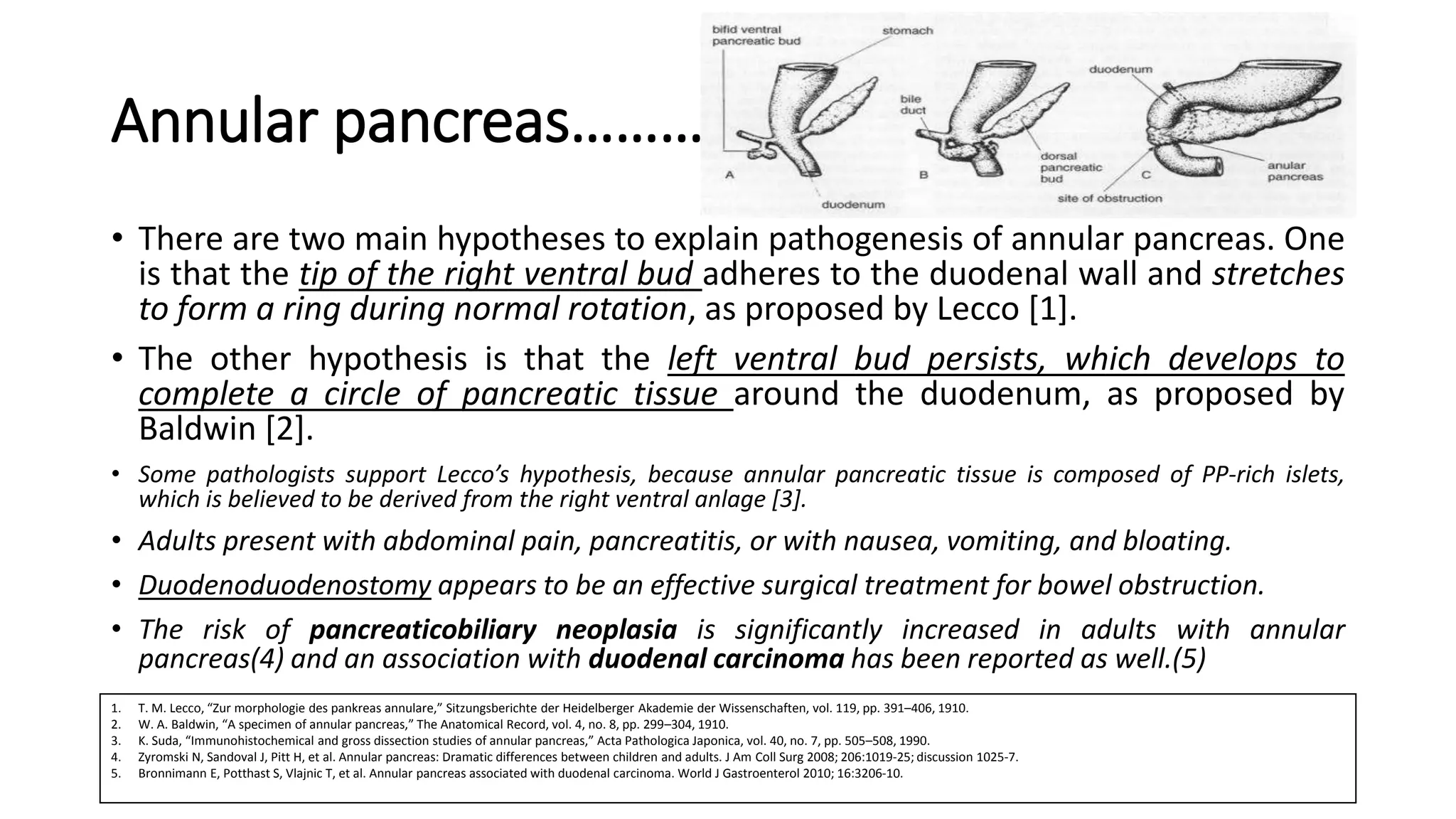 Embryology of pancreas | PPTX