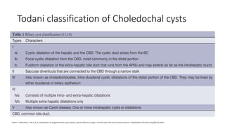 Embryology of pancreas | PPTX
