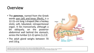 Annular Pancreas Embryology