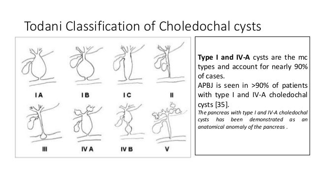 Embryology of pancreas
