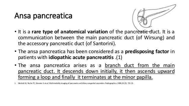 Embryology of pancreas