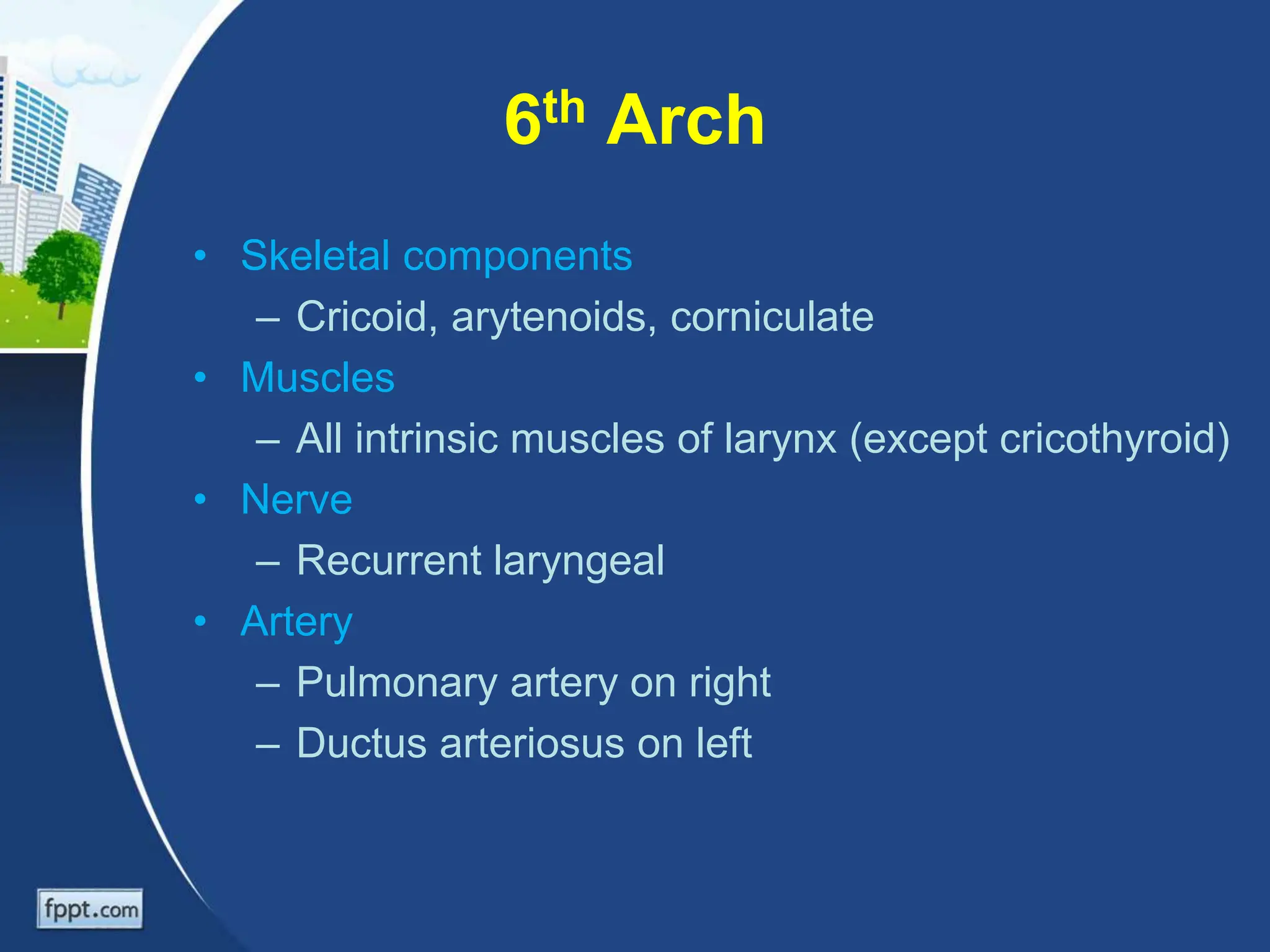 Embryology of Pharyngeal arches and it's clinical aspect.ppt